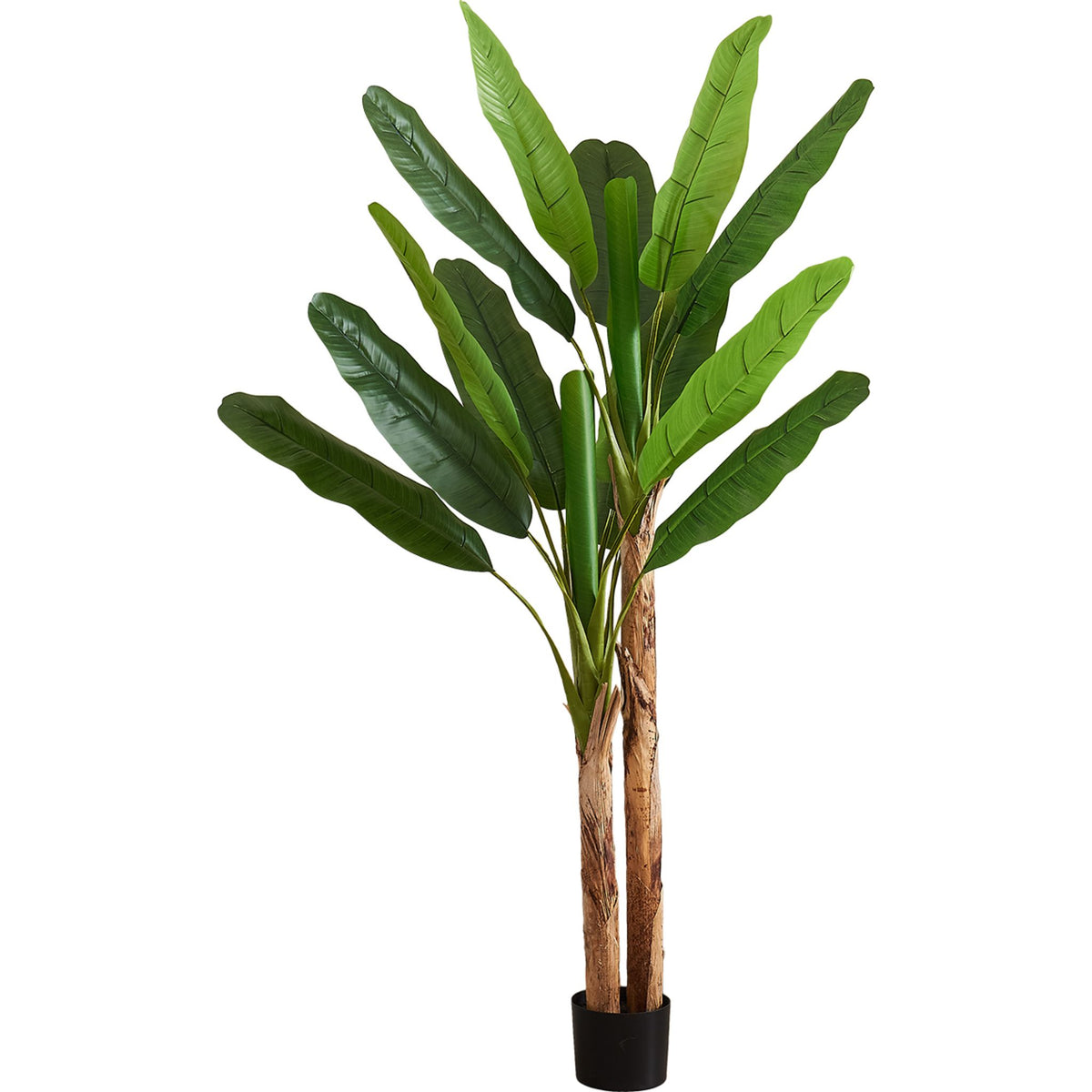 Banana Tree | Espace Tendance