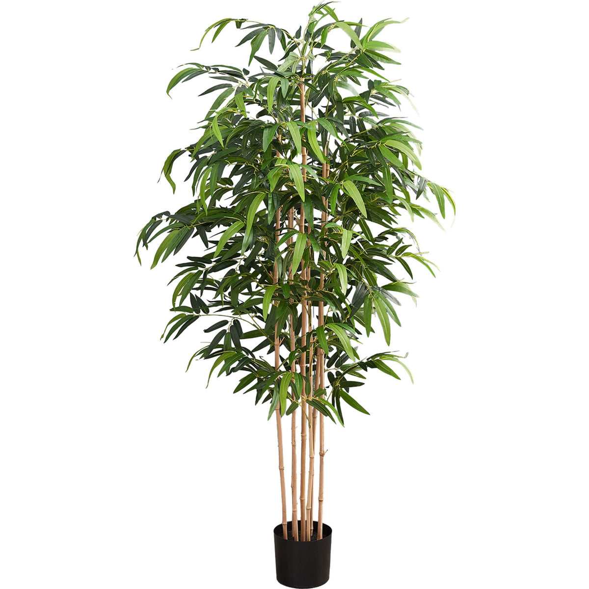 Bamboo Tree| Espace Tendance