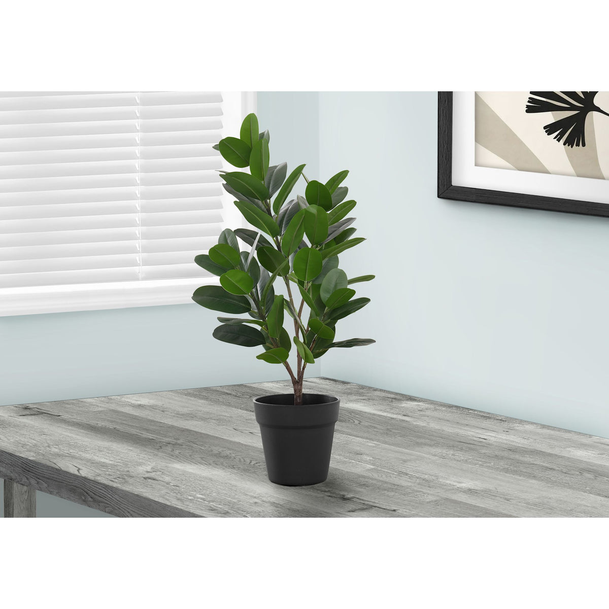 Garcinia Tree | Espace Tendance