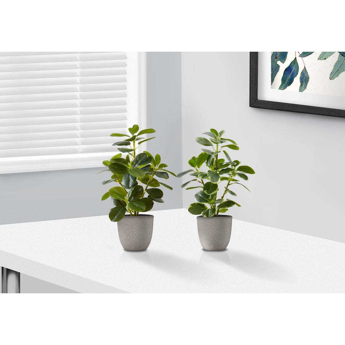 Ficus Plant (Set of 2) | Espace Tendance